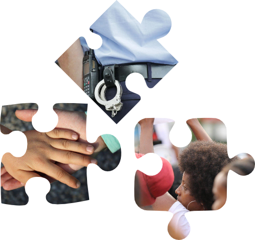 This is a new title - SWC Expert Group